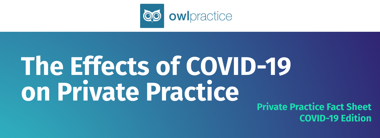 2021 Private Practice Factsheet – Owl Practice | Mental Health Practice ...